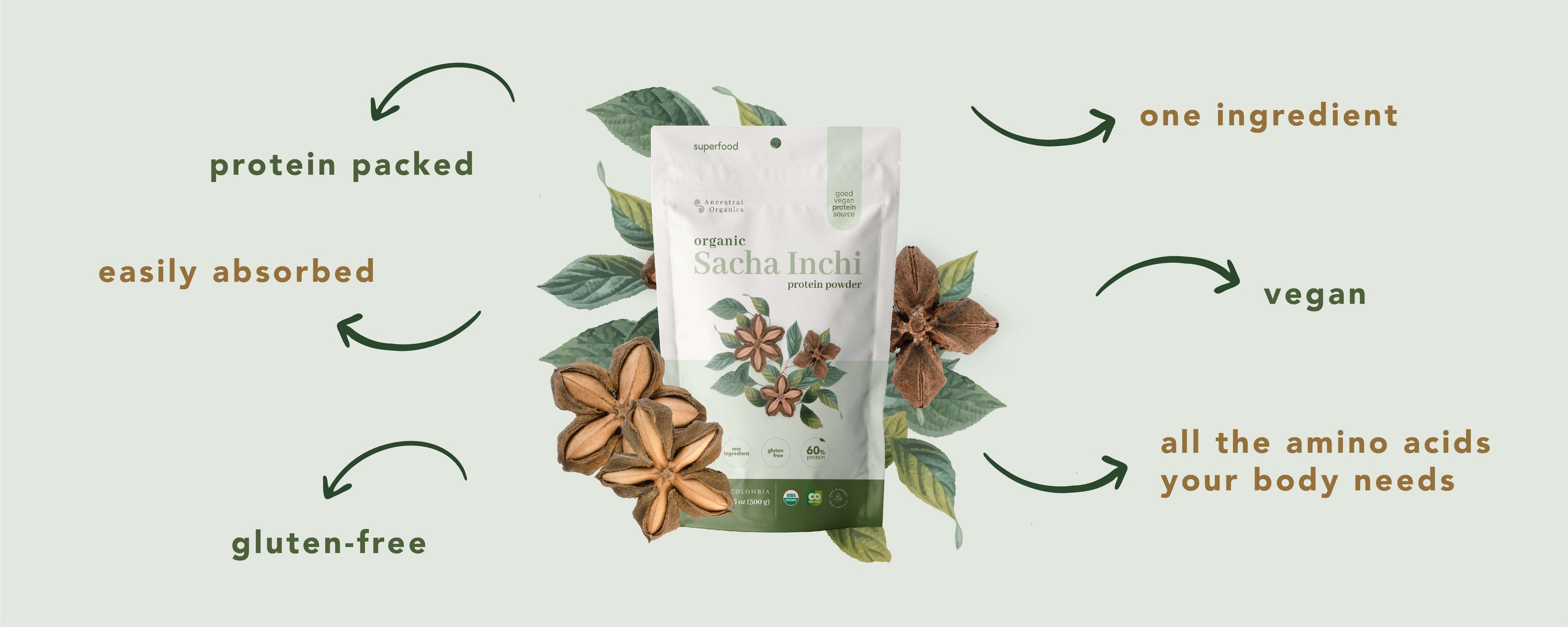 Organic Sacha Inchi Protein Powder – Ancestral Organics